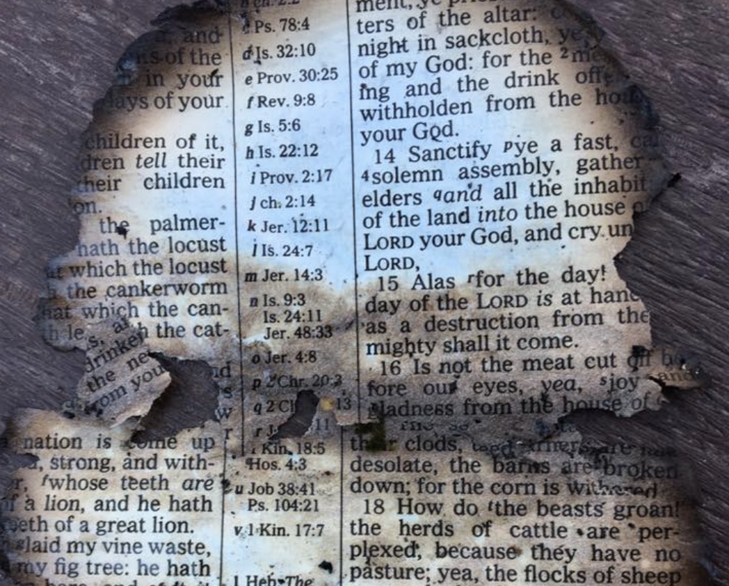 ‘Goosebumps’: Man Discovers Scorched Bible Page in Gatlinburg Fire ...
