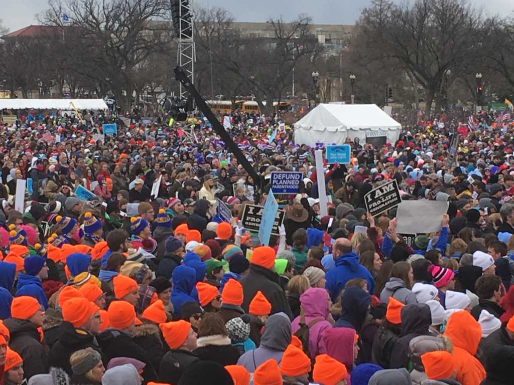 LOOK: Large Crowds at the March For Life Rally – Faithwire