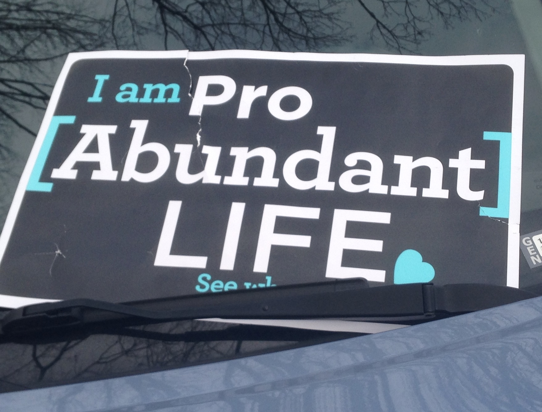 ‘Make Womb for Love’: 12 Pro-Life Signs That Caught Our Eye During the ...