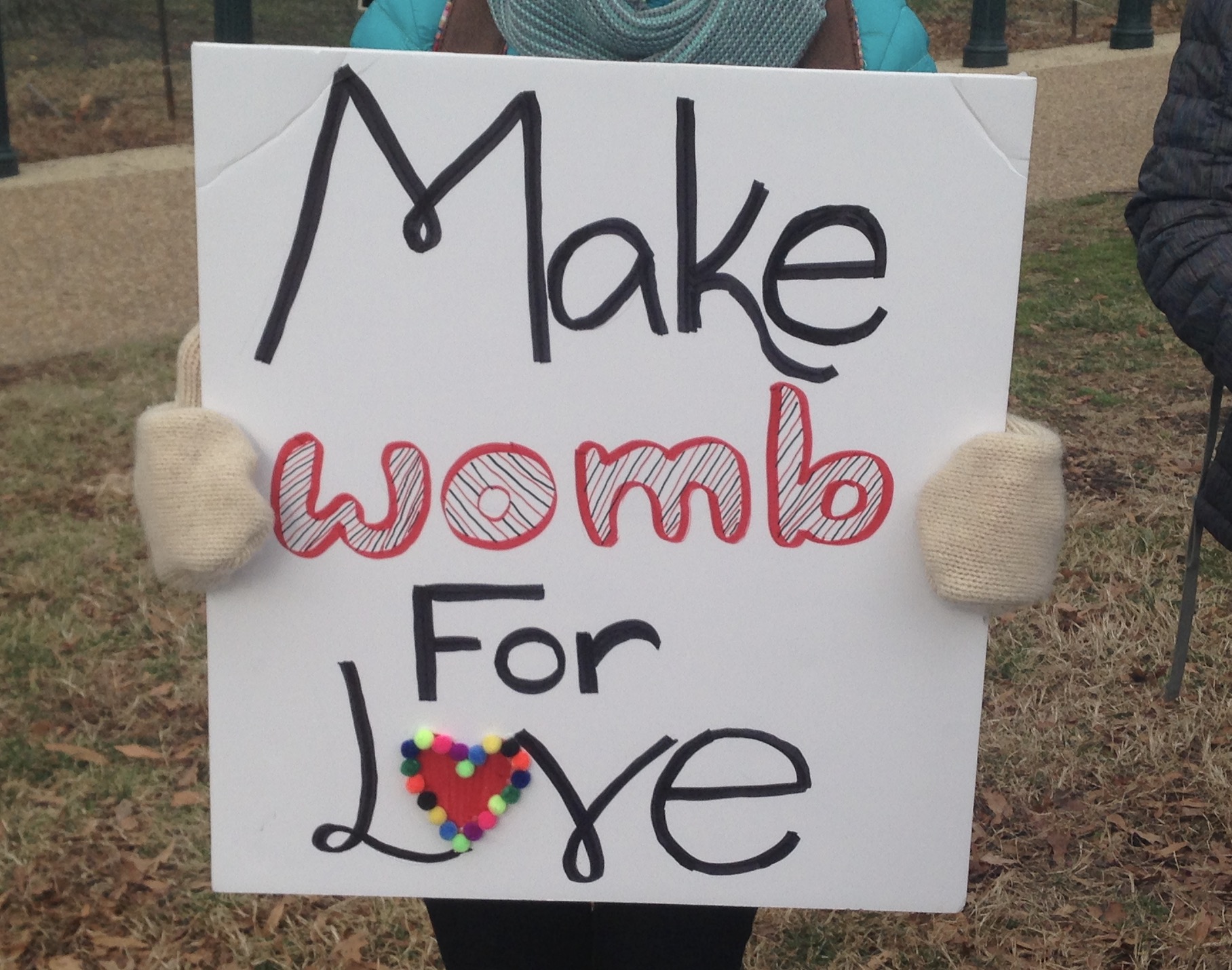 ‘Make Womb for Love’: 12 Pro-Life Signs That Caught Our Eye During the ...