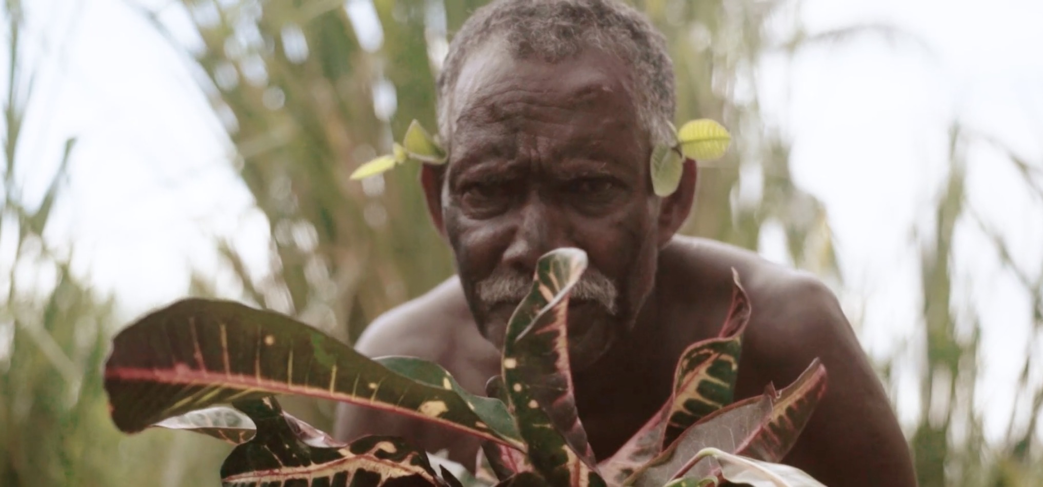 ‘They Were Eating People’: Brave Christians Risk Lives to Save ...