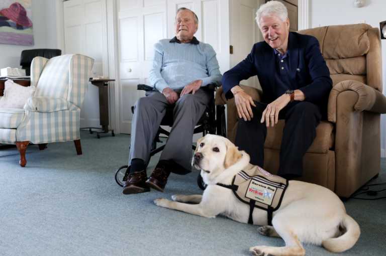 Meet ‘Sully,’ George H.W. Bush’s New Service Dog Named After Hero Pilot ...