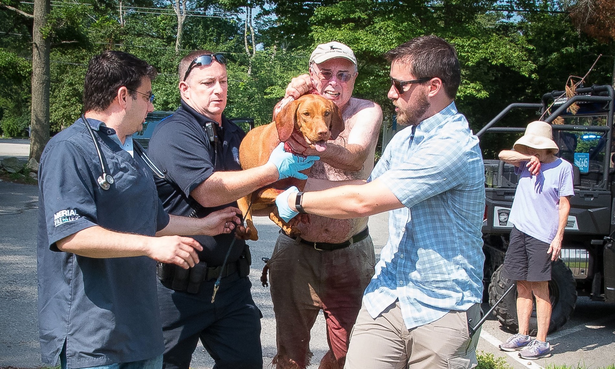 ‘Our Dogs Are Family’: Good Samaritans Race Against Time to Save Puppy ...