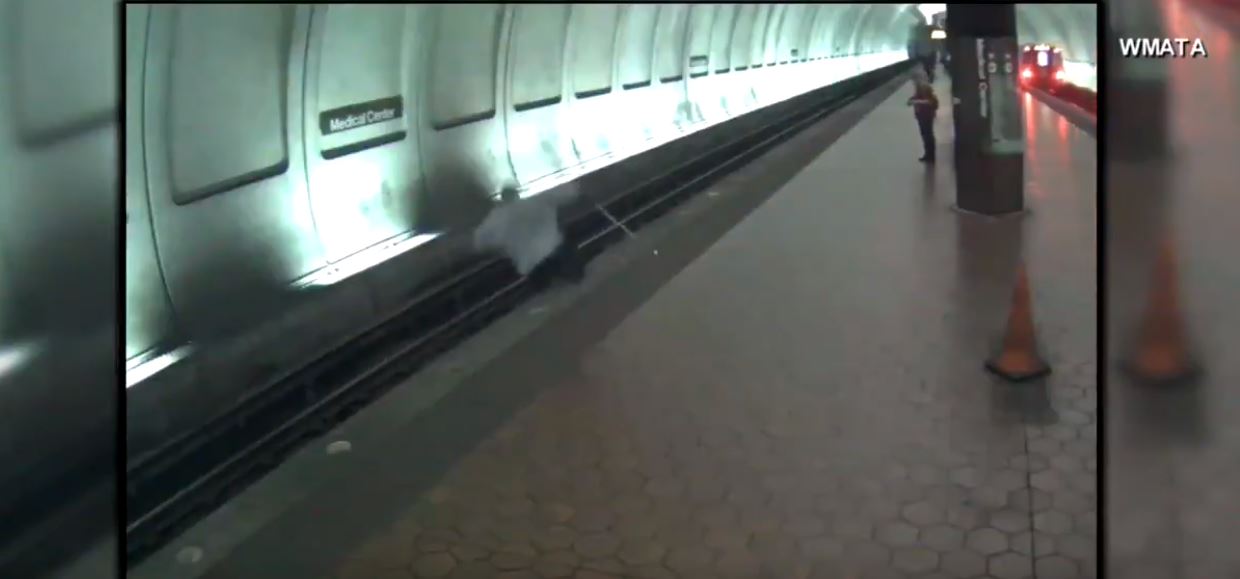Commuters Save Blind Man from Being Hit by Train Seconds After Horrific ...